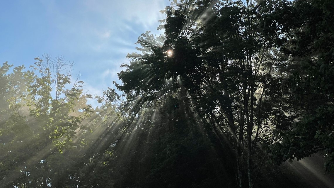 PhotoLink Library: Mighty nice place | wnep.com