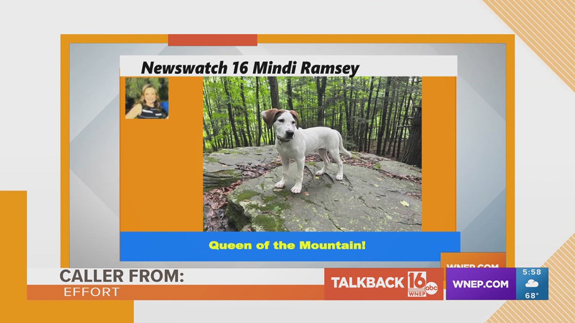 Shapiro staying in PA, Newswatch 16 anchors going on vacation ...