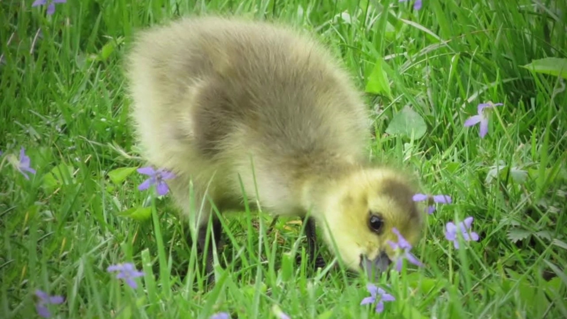 Wonderful moments | PhotoLink Library | wnep.com