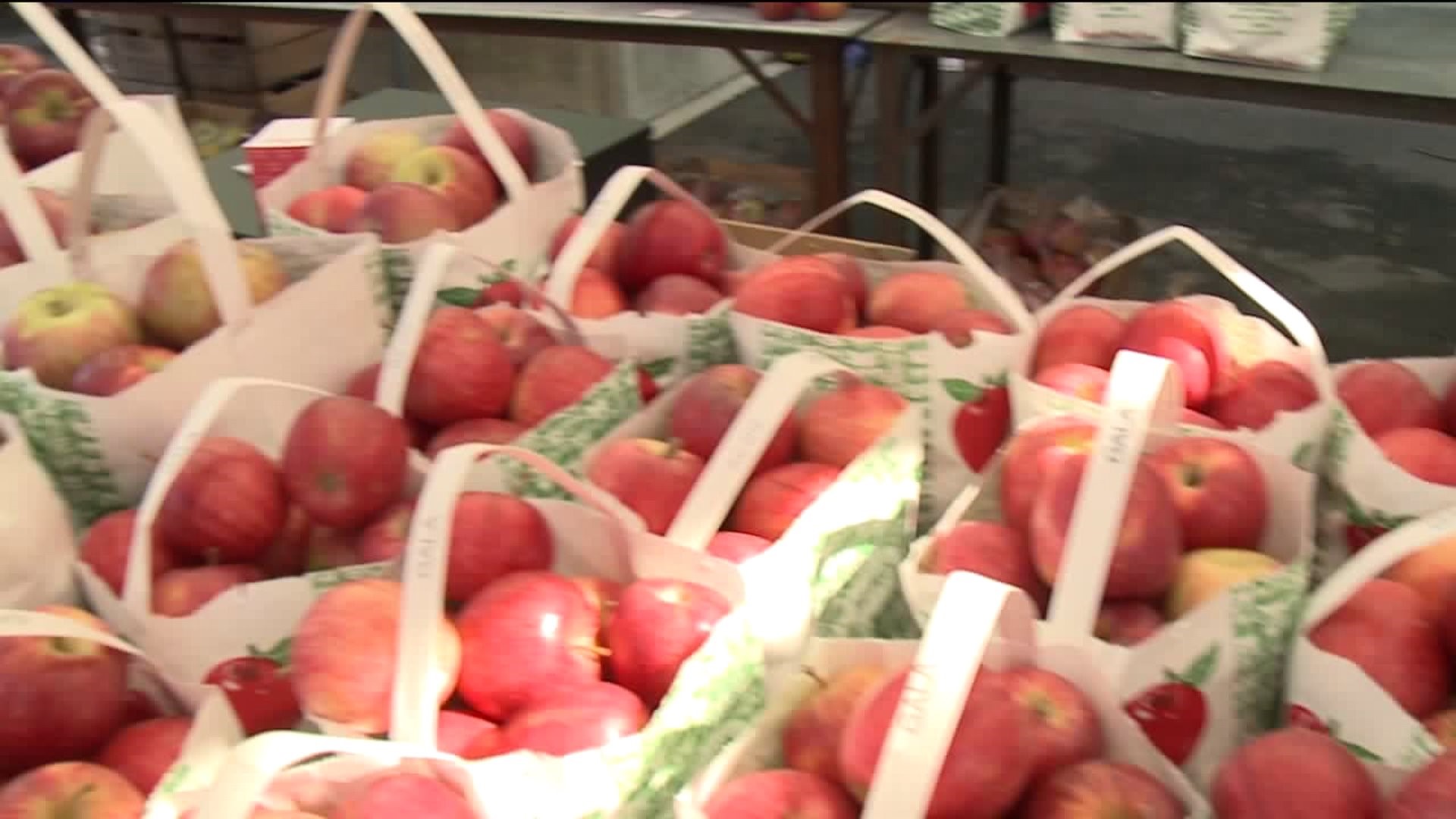 Annual Apple Festival Celebrates Fall Favorites | wnep.com