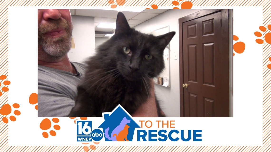 16 To The Rescue: Afroman | wnep.com