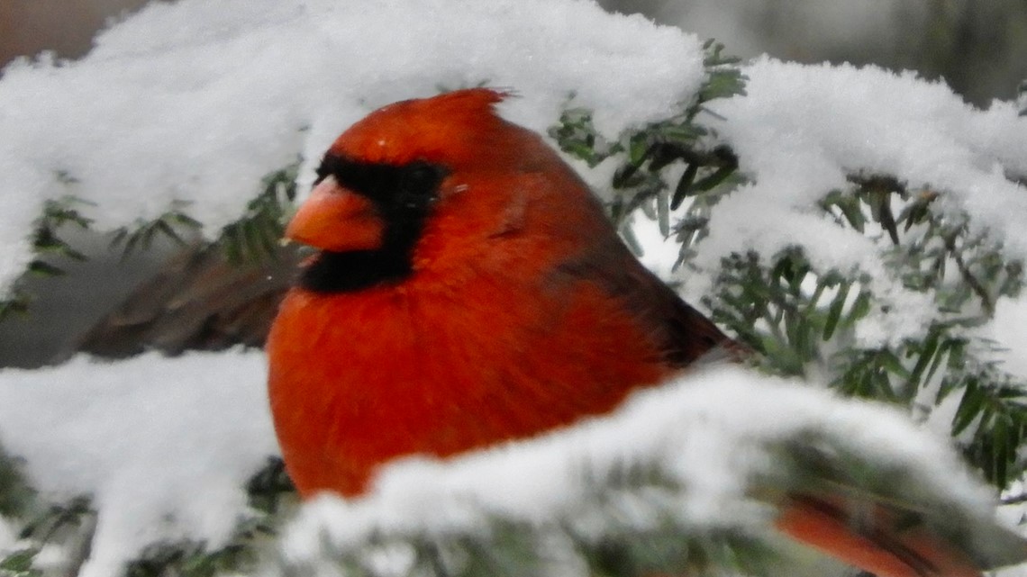 Photolink Library: Winter is coming | wnep.com