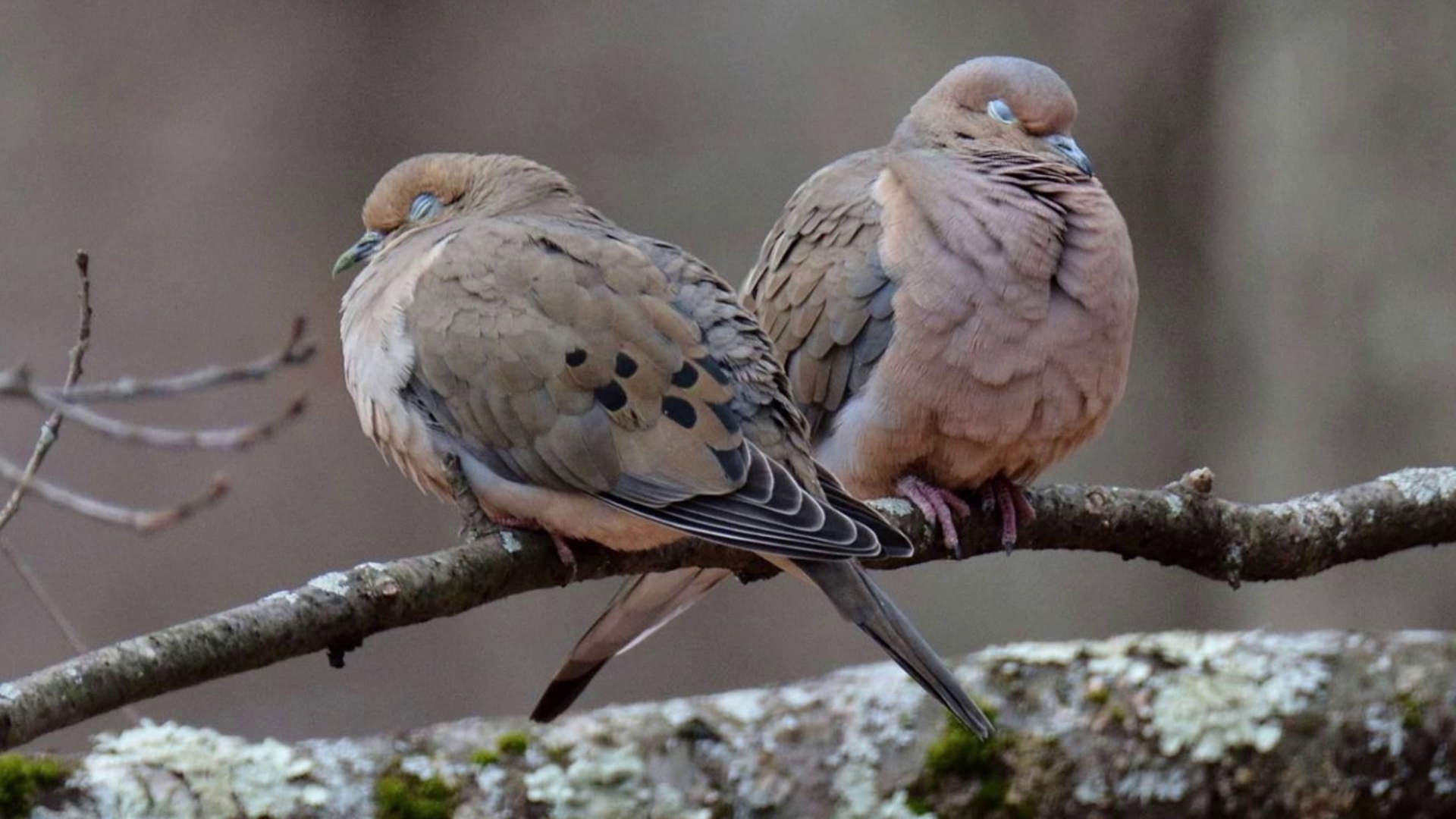 Springtime colors in the PhotoLink Library | wnep.com