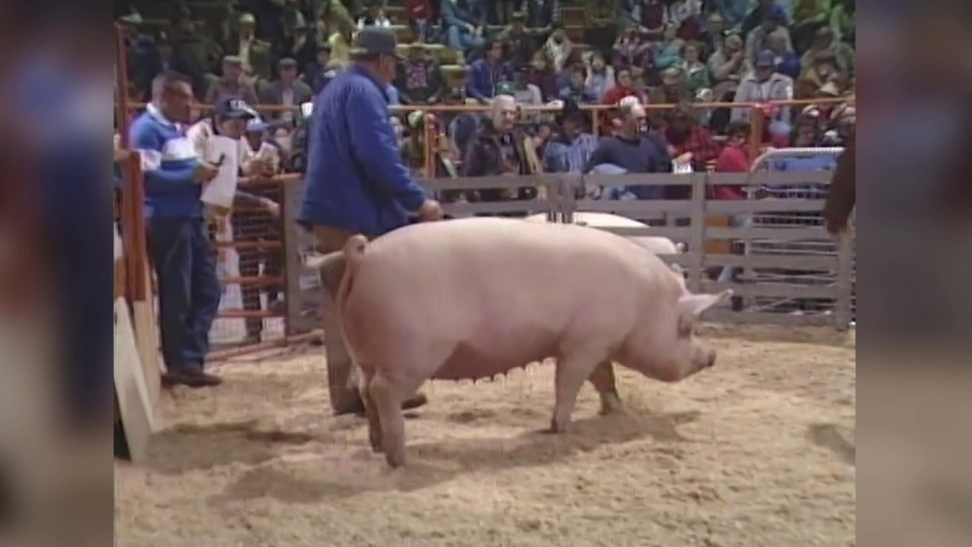 Pennsylvania Farm Show | Back Down The Pennsylvania Road | wnep.com