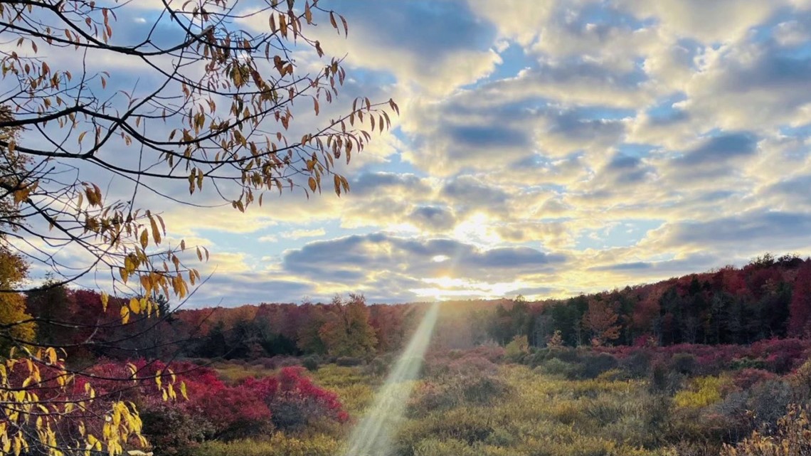 Images of autumn in the PhotoLink Library | wnep.com