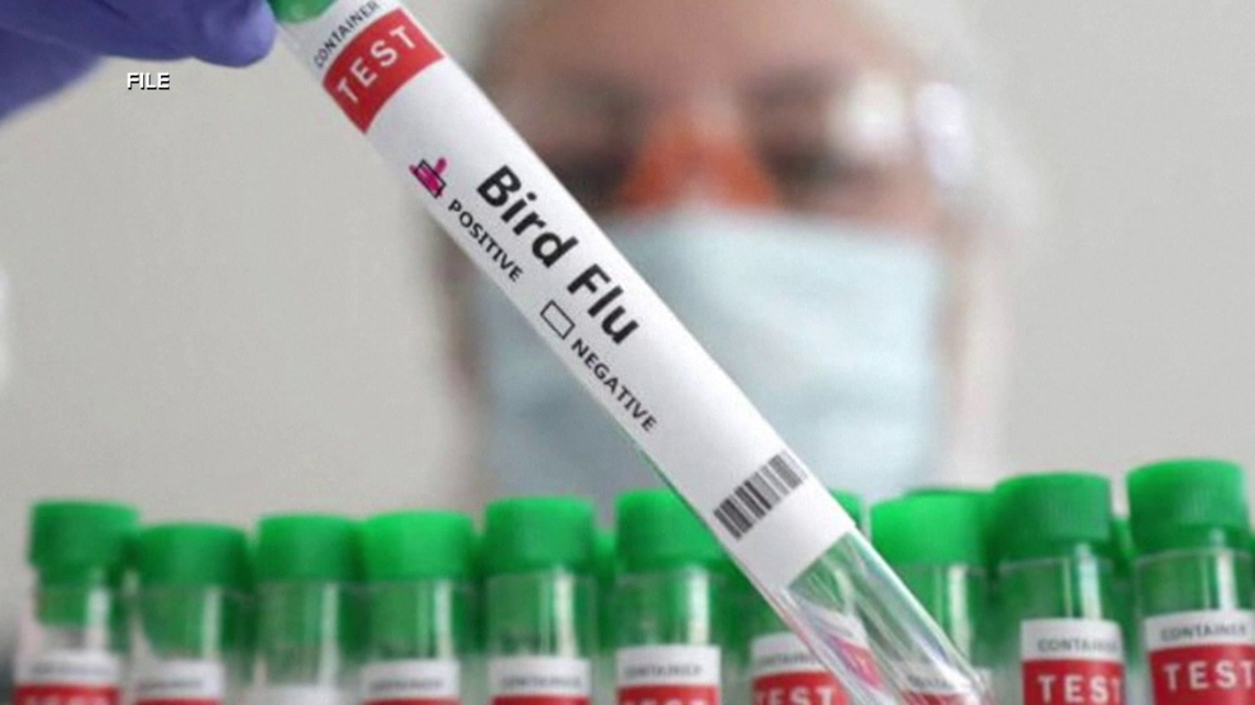 Doctor helps explain Bird Flu |Healthwatch 16 | wnep.com
