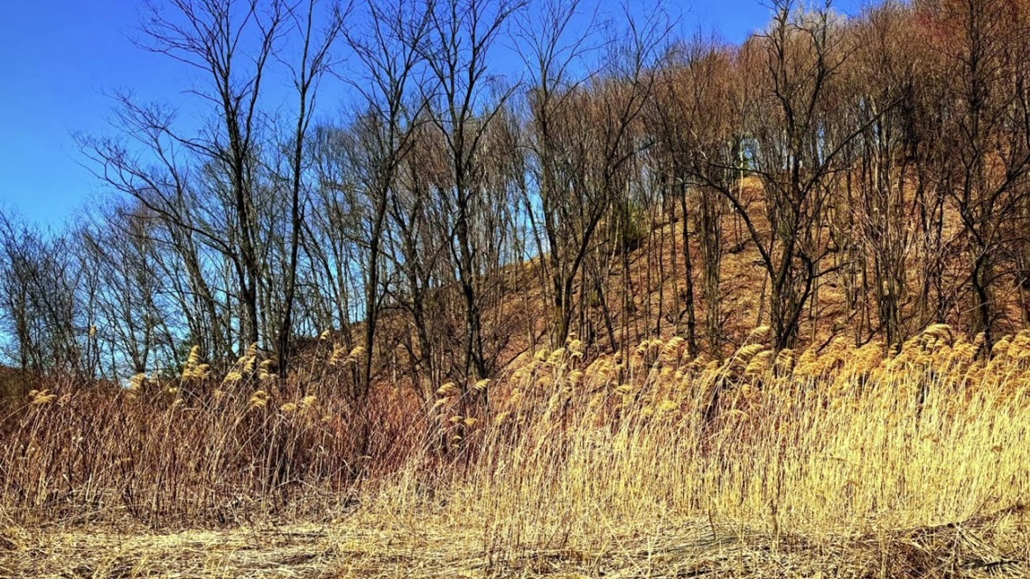 Seasonal stroll in the PhotoLink Library | wnep.com