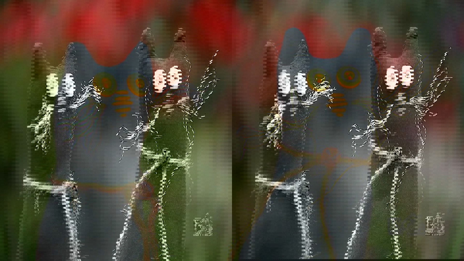 Halloween Project: Stitch This Primitive Black Cat | wnep.com