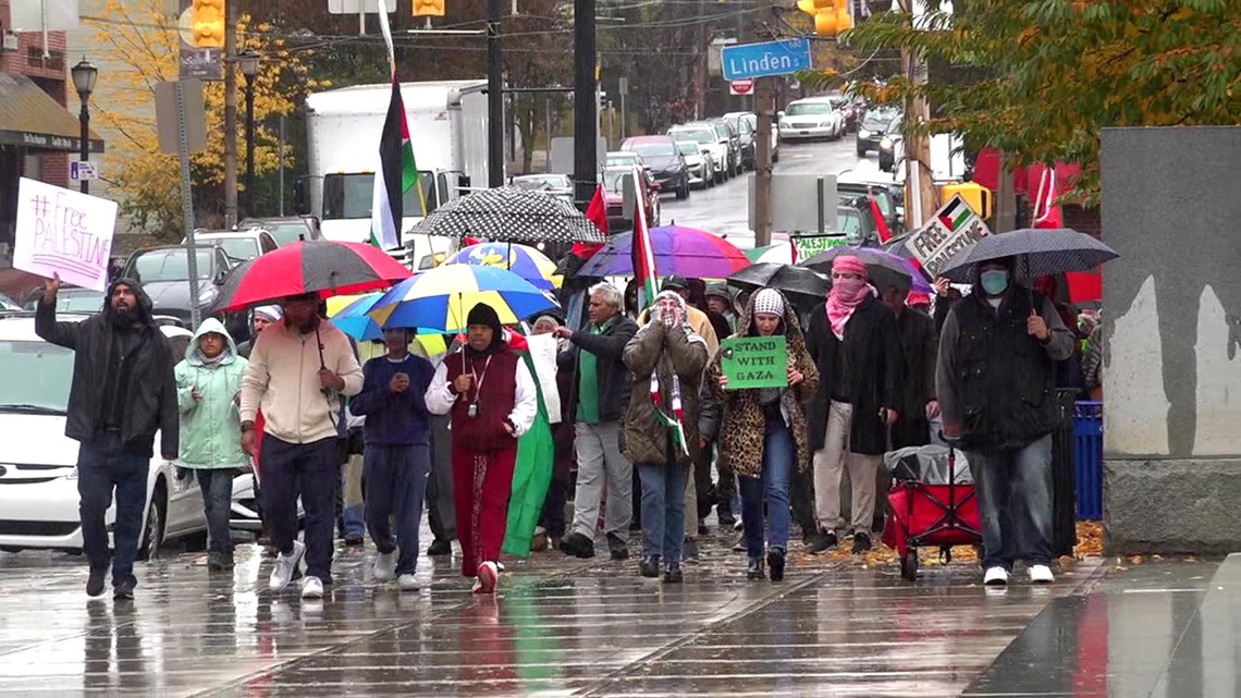 Rally calls for peace in Palestine | wnep.com