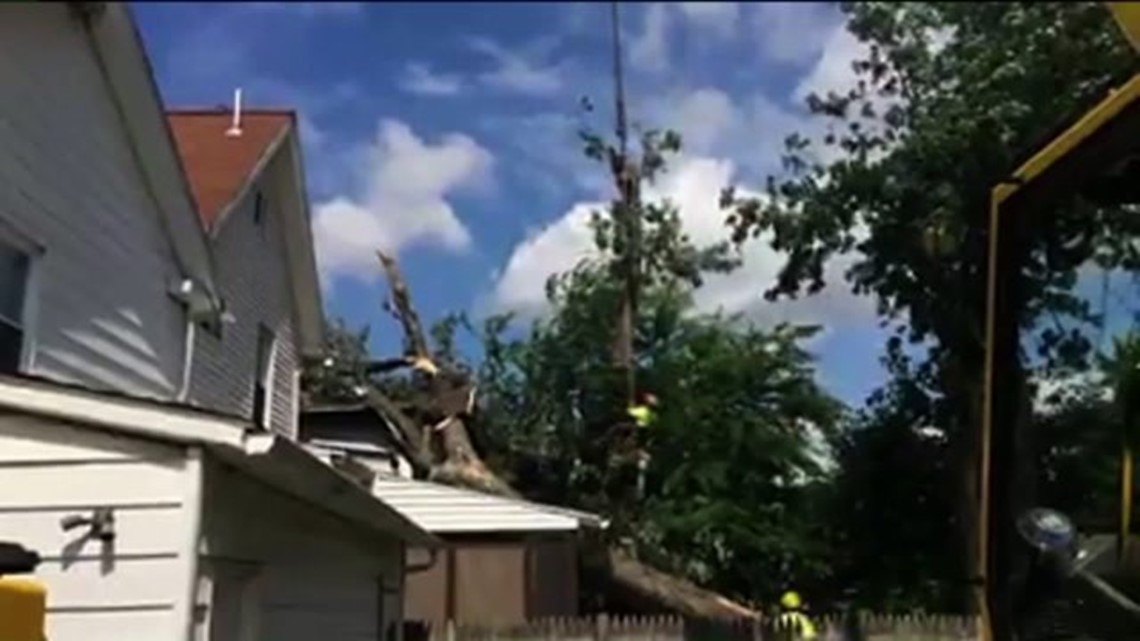 Crews Removing Tree that Damaged Homes | wnep.com