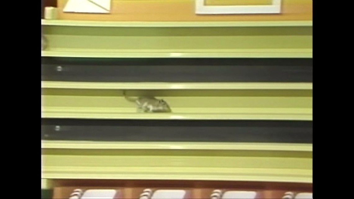 Talkback Feedback: Gerbil Racing | wnep.com