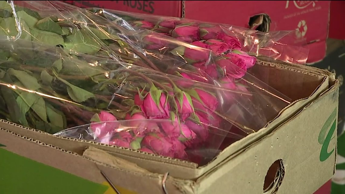 Dillon Flowers Bloomsburg Pa | Best Flower Site