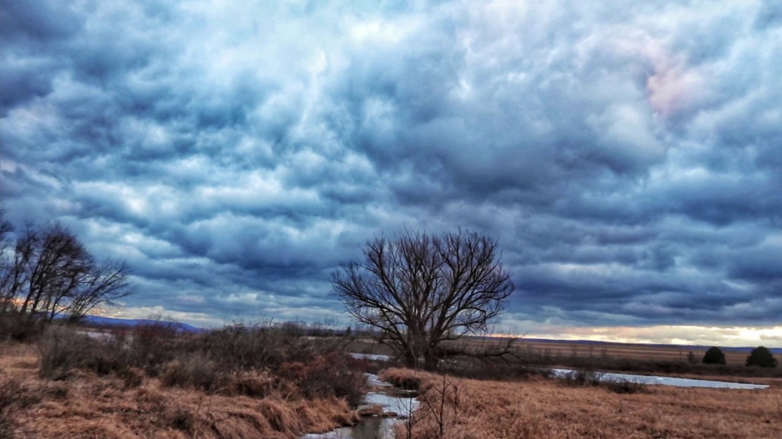 A peaceful journey in the PhotoLink Library | wnep.com