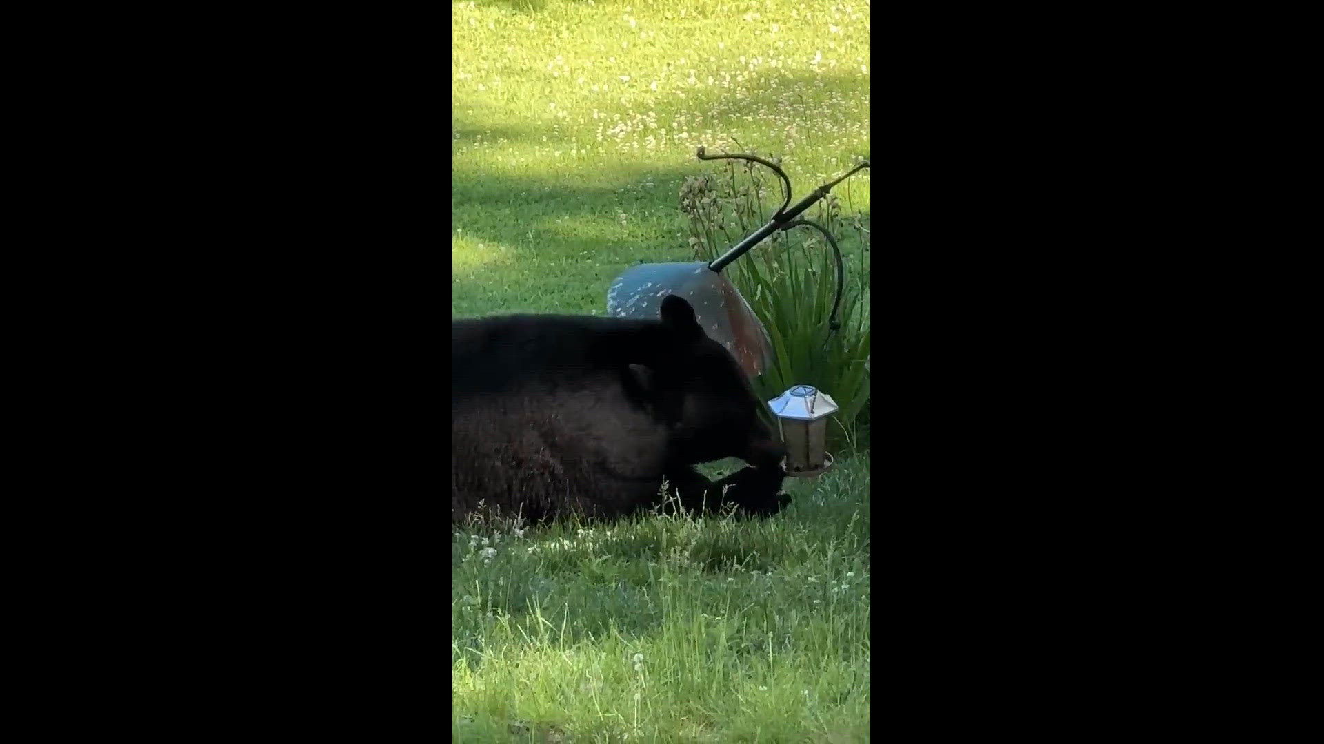 snack time | wnep.com