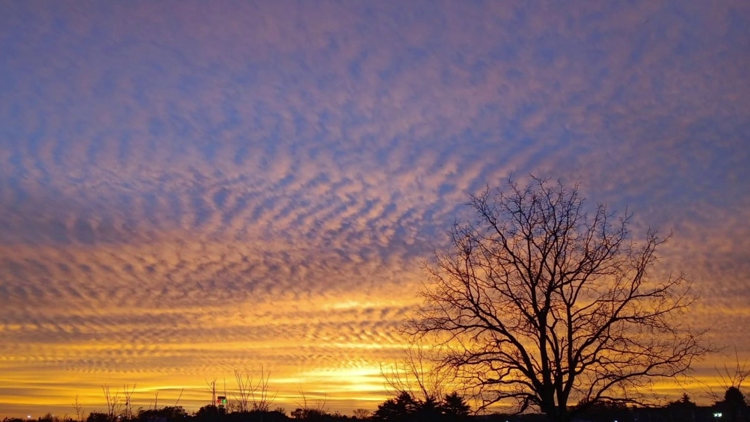 WNEP.com | News, Weather & Sports from WNEP-TV — Proud to Serve ...