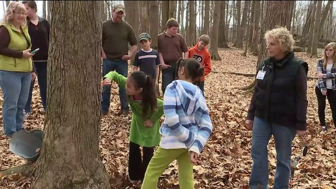 Students Learn about Maple Syrup at Montour Preserve | wnep.com