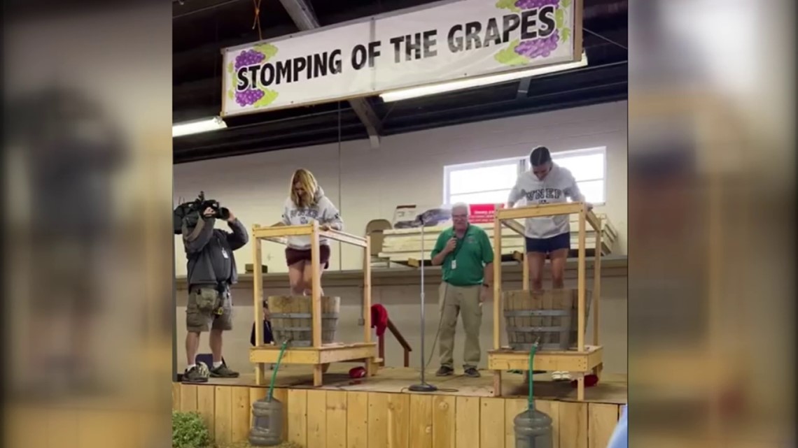 Grape stomping competition at the Bloomsburg Fair | wnep.com