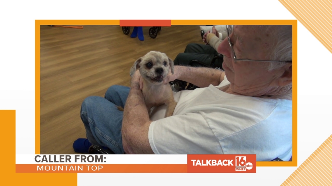 Calls about caring animals and the valley of ignorance | Talkback 16 ...