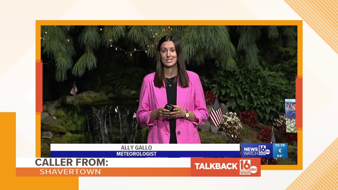 Talkback 16 | Welcome back Ally! | wnep.com