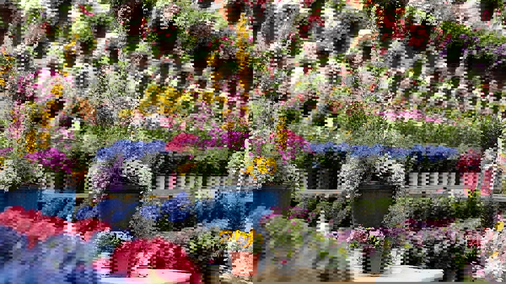 This Spring Planter Will Instantly Brighten Your Porch or Patio | wnep.com