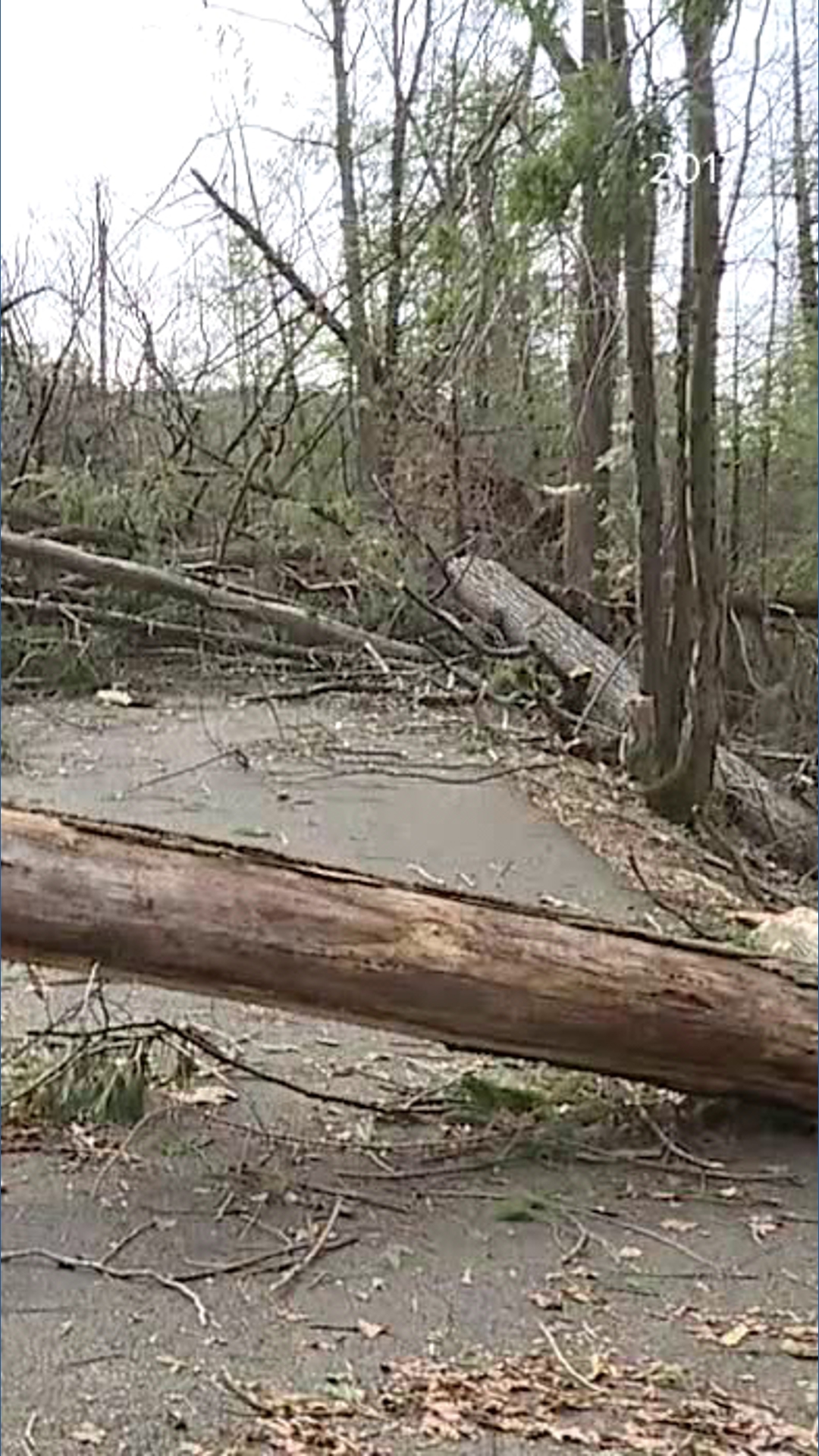 Looking back at the EF2 tornado that touched down in northeastern ...