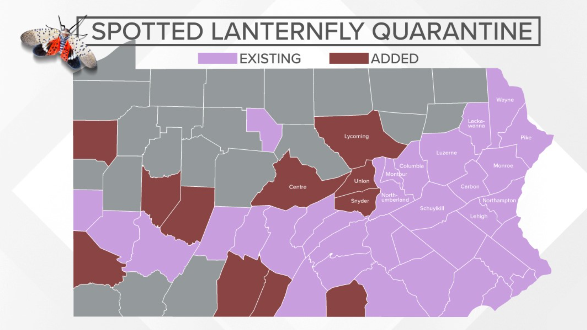 Spotted lanternfly has spread in Pennsylvania | wnep.com