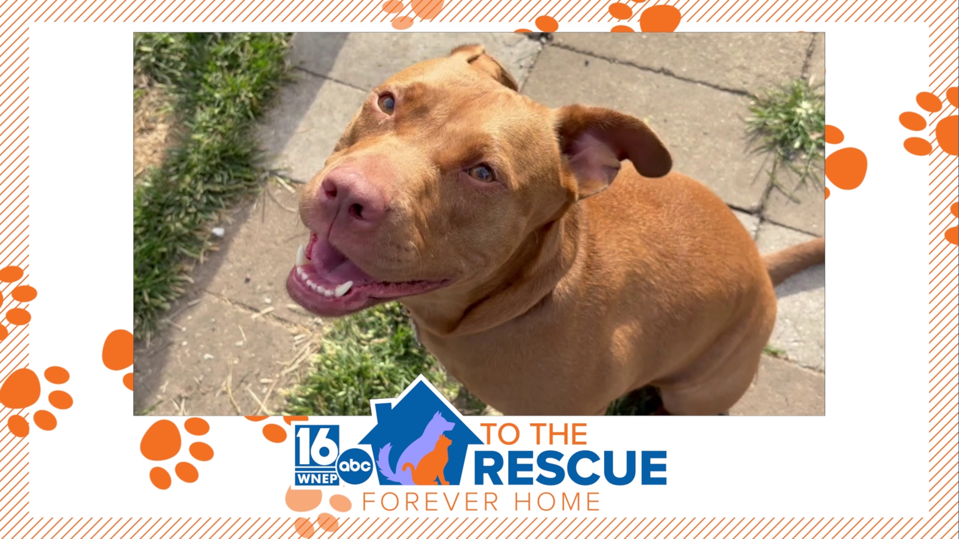 MJ: 16 To The Rescue | wnep.com