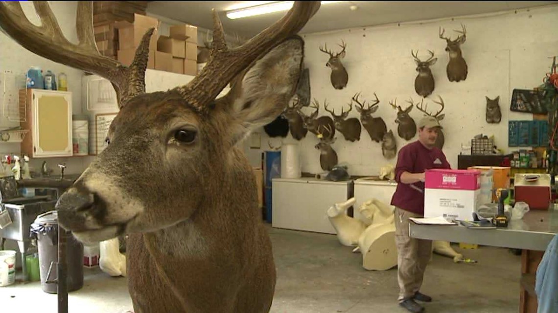 One Less Deer Processing Option for Hunters | wnep.com