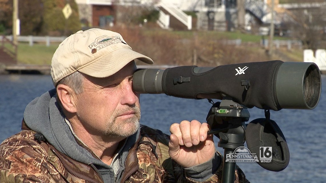 Rick Koval eBird Champion | wnep.com