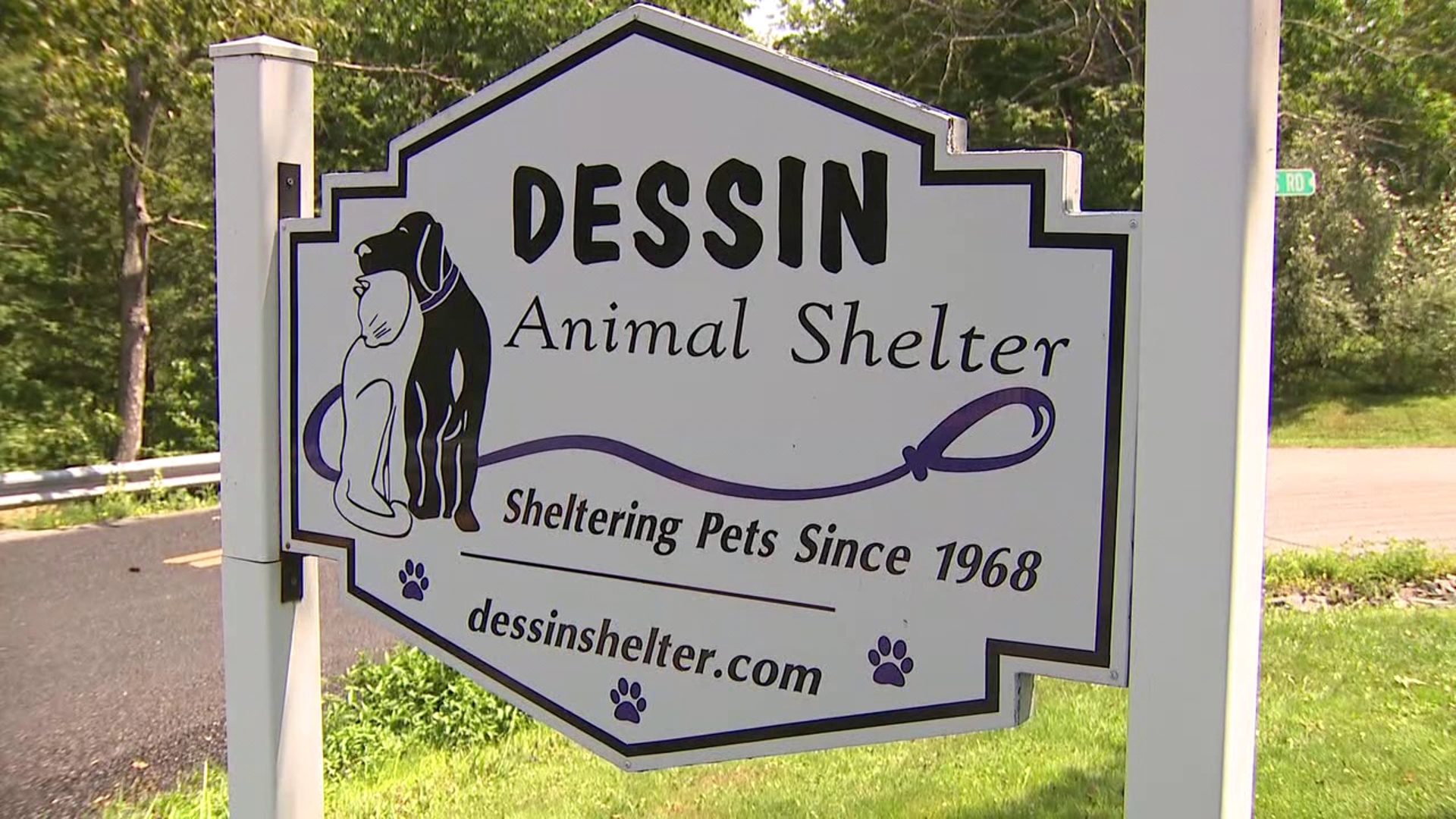 Dessin Animal Shelter gets largest donation in history | wnep.com