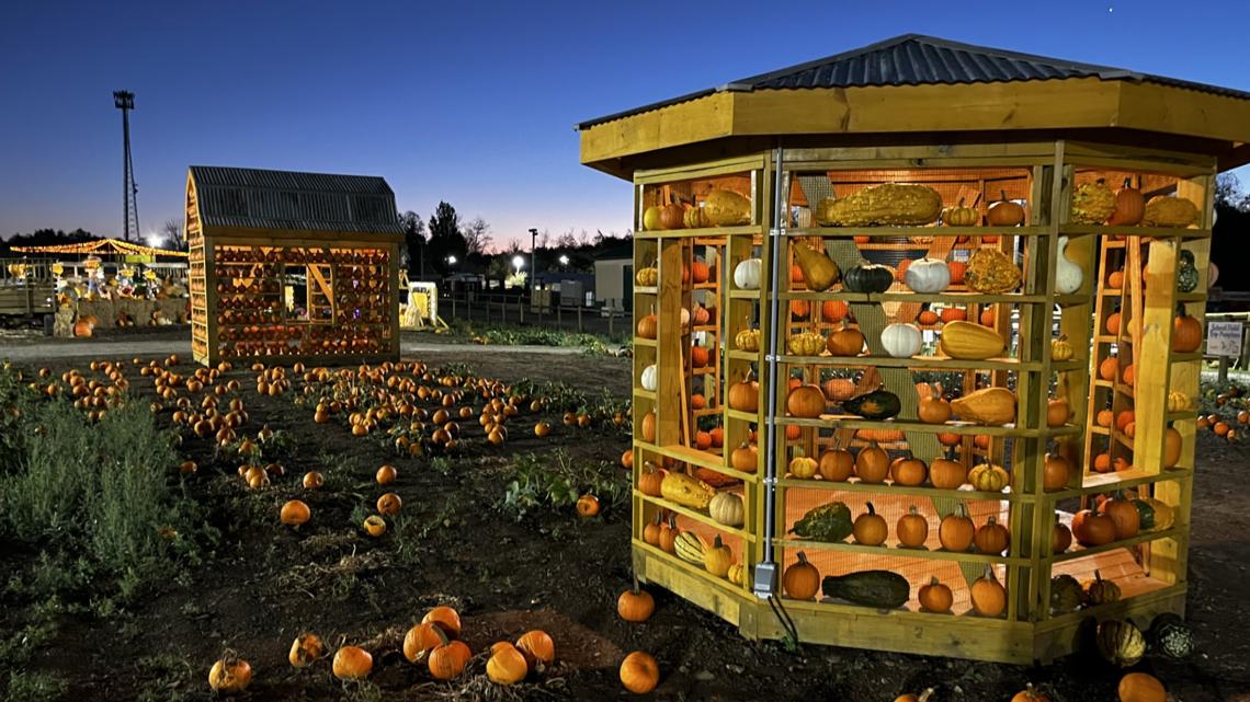 Explore Roba Family Farms' Pumpkin Festival this season | wnep.com