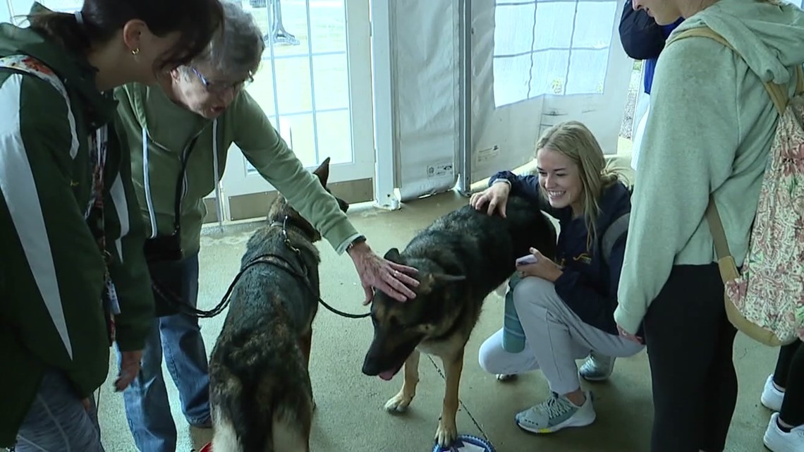 University of Scranton welcomed about 40 dogs to campus | wnep.com
