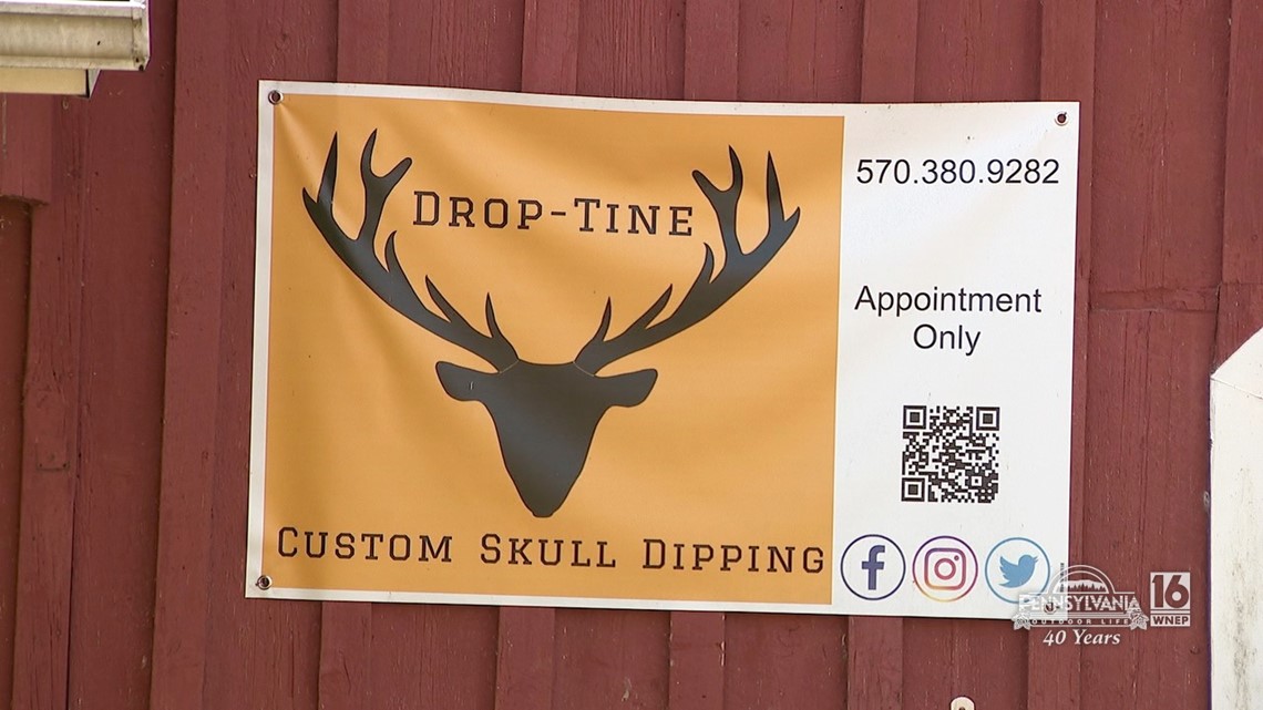 Drop-Tine Custom Skull Dipping | wnep.com