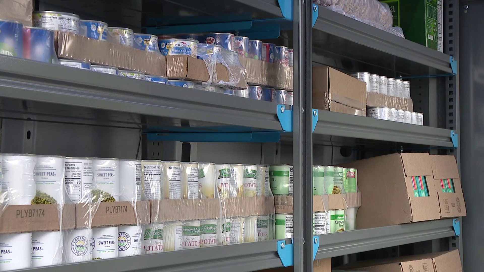 Lightning strikes giant dinosaur animatronic in Kansas, leaves only ...