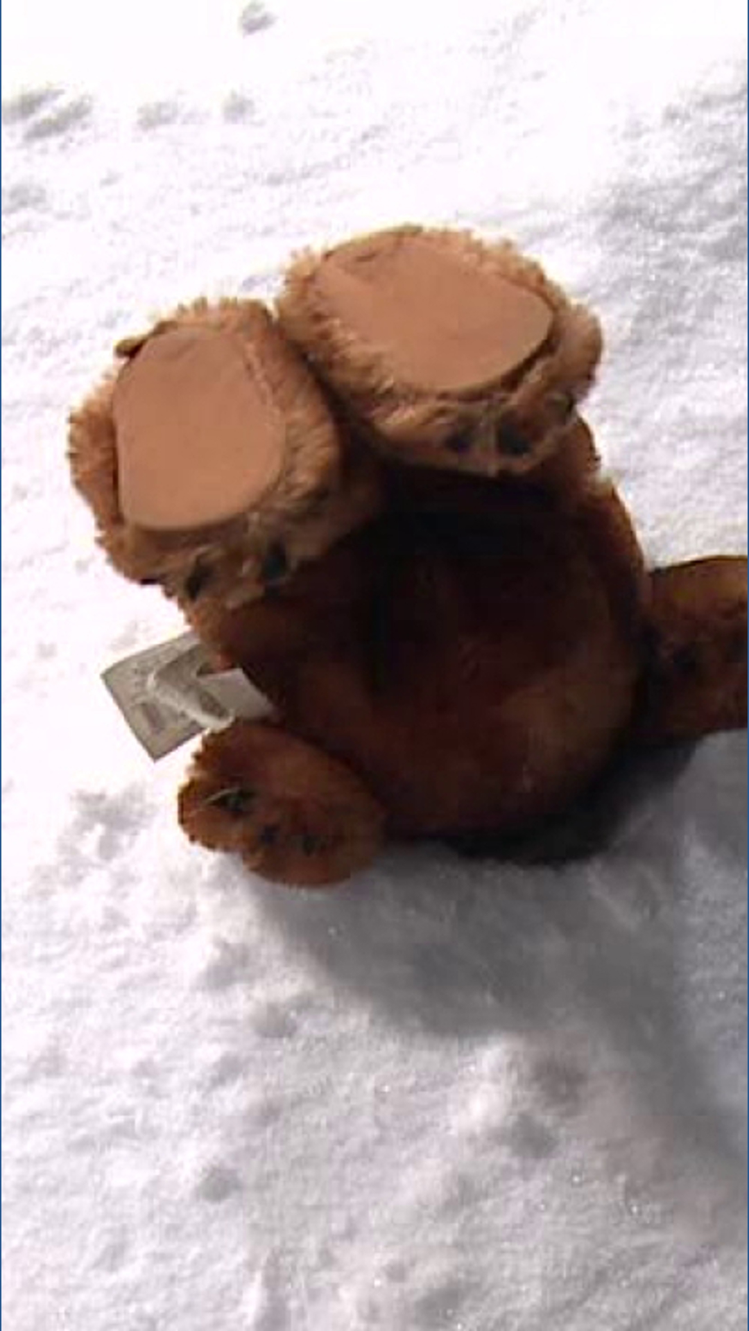 Joe buries his feelings for Winter | wnep.com