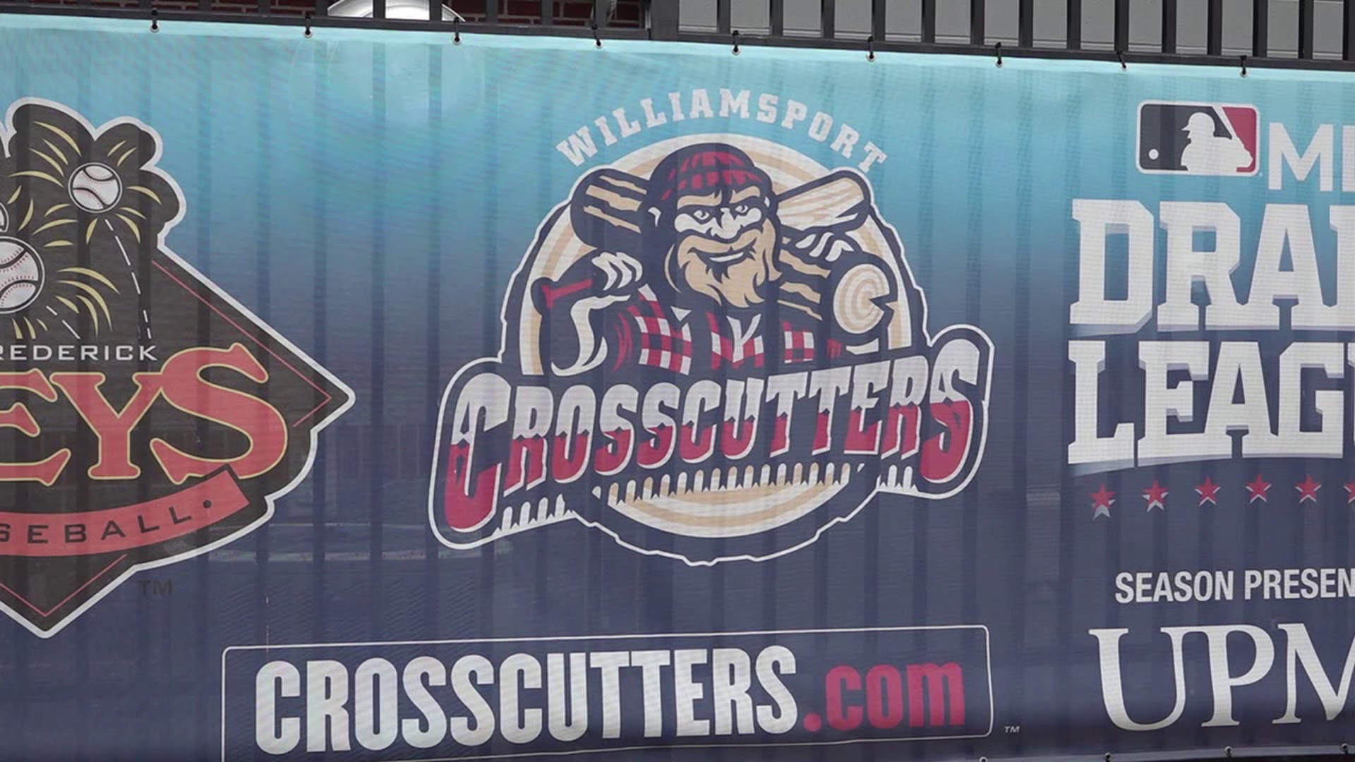 Williamsport Crosscutters seek host families for 2026 season | wnep.com