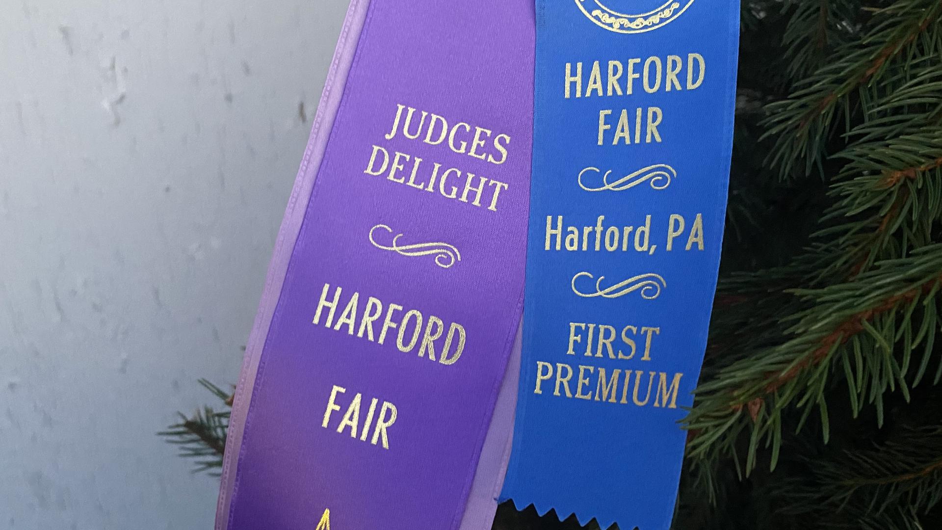 Experience the 167th Harford Fair in Susquehanna County | wnep.com