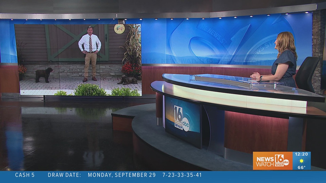 WNEP.com | News, Weather & Sports from WNEP-TV — Proud to Serve ...