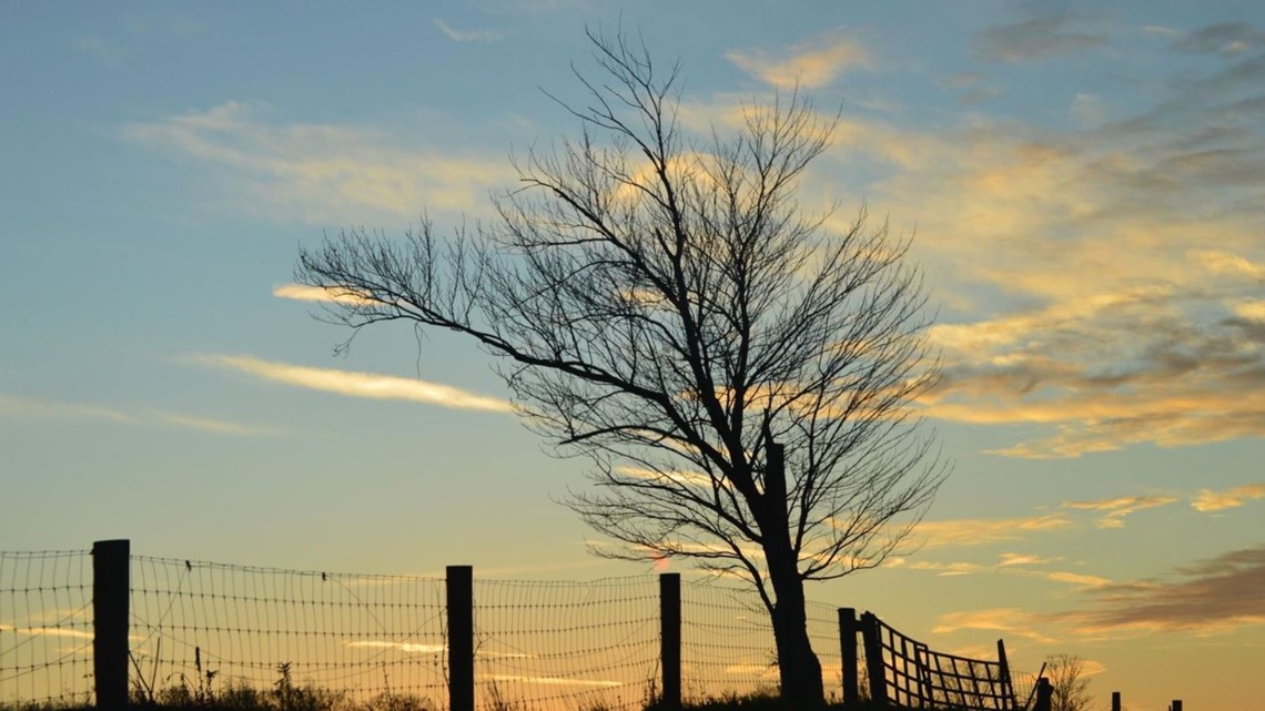 Mike Stevens in the PhotoLink Library: Heart of autumn | wnep.com