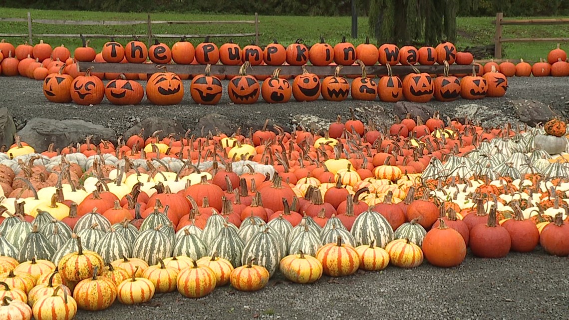 Pumpkin Walk art in Wyoming County | wnep.com