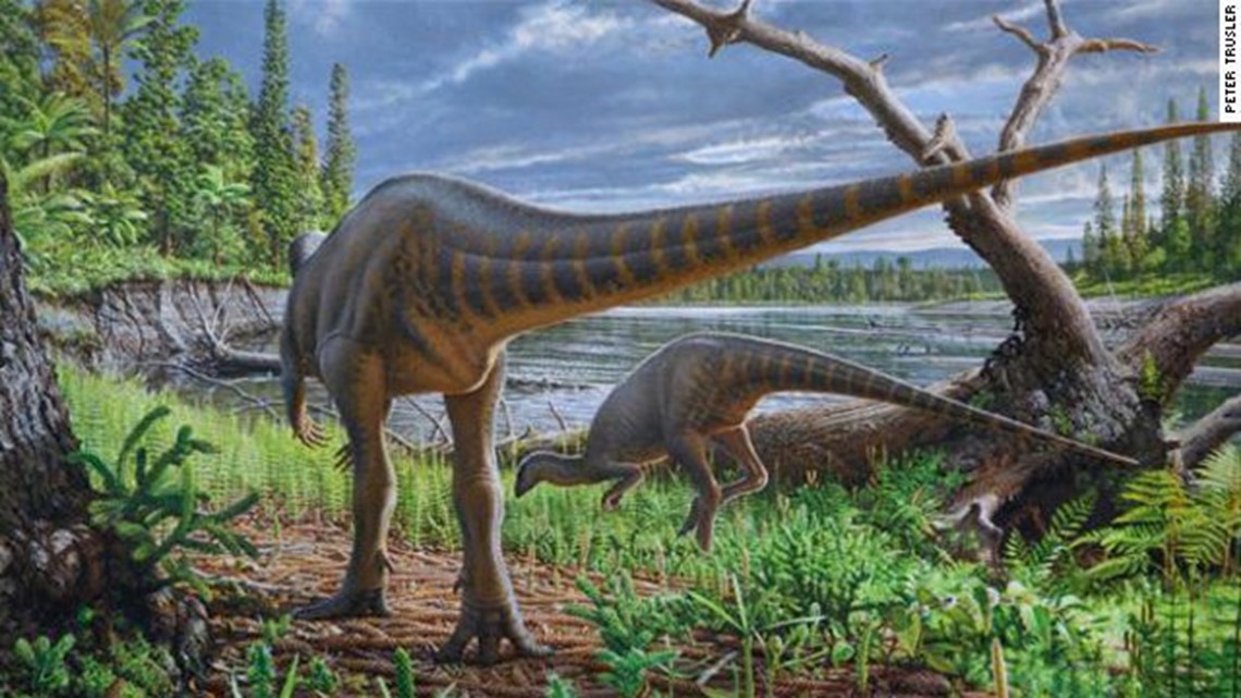 Scientists Discover New Dinosaur Species in Australia | wnep.com