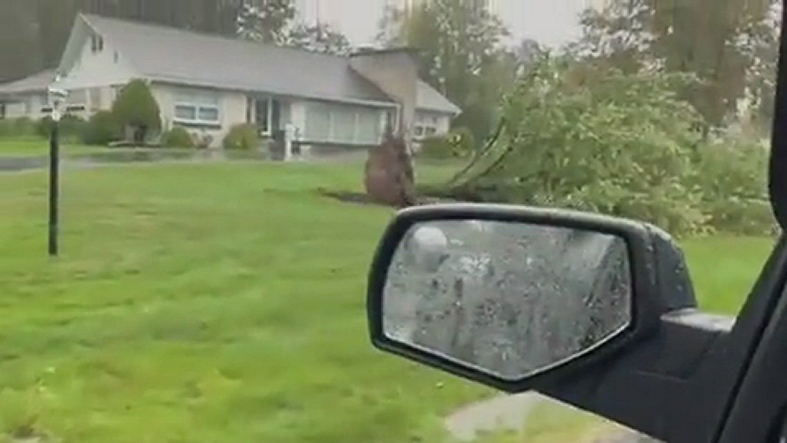 Storm damage / possible microburst | wnep.com
