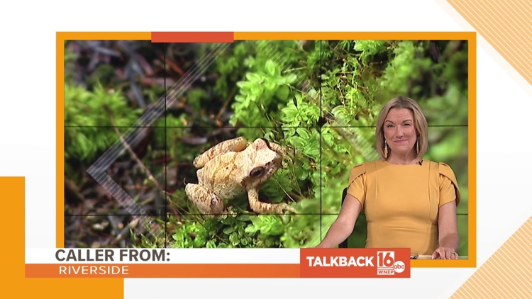 Talkback 16 | wnep.com