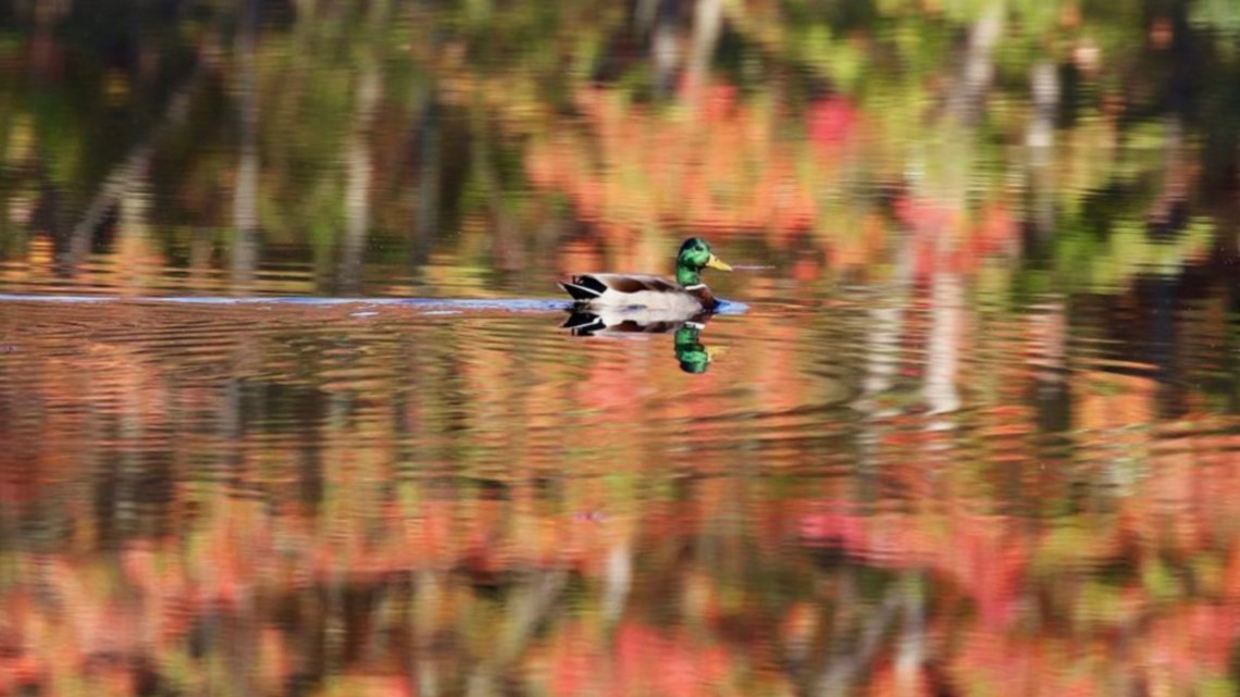PhotoLink Library: Fall reflections with Mike Stevens | wnep.com