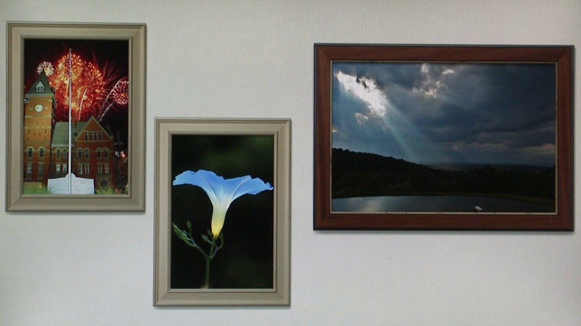 A Look Back at 2015 in The PhotoLink Library | wnep.com