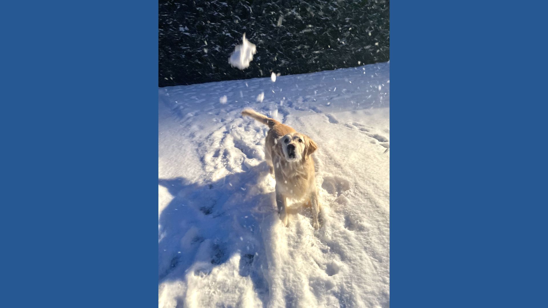 January winter storm arrives, as shown by you | wnep.com