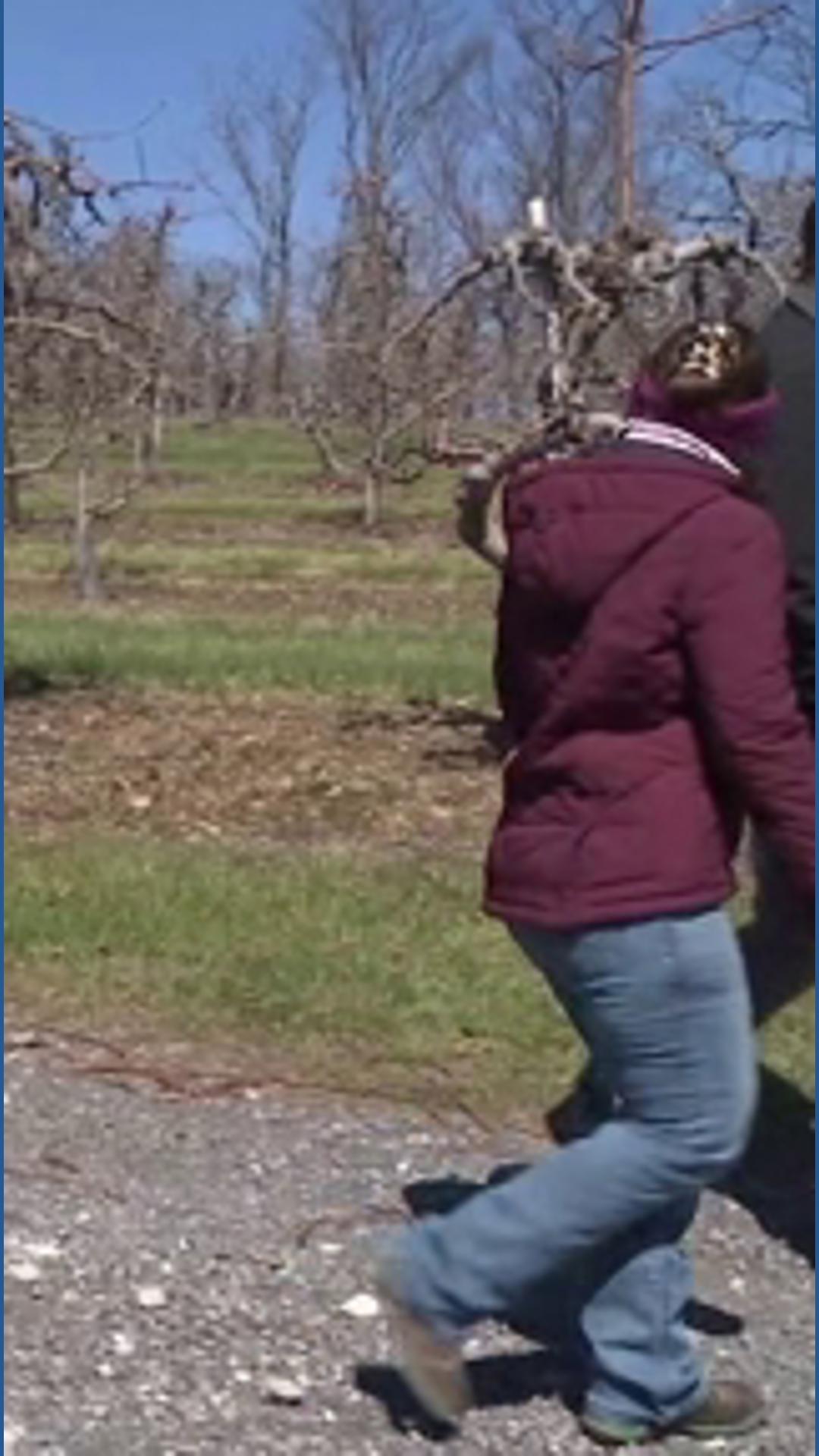Pa. Agriculture secretary visits fruit orchard in Columbia County ...