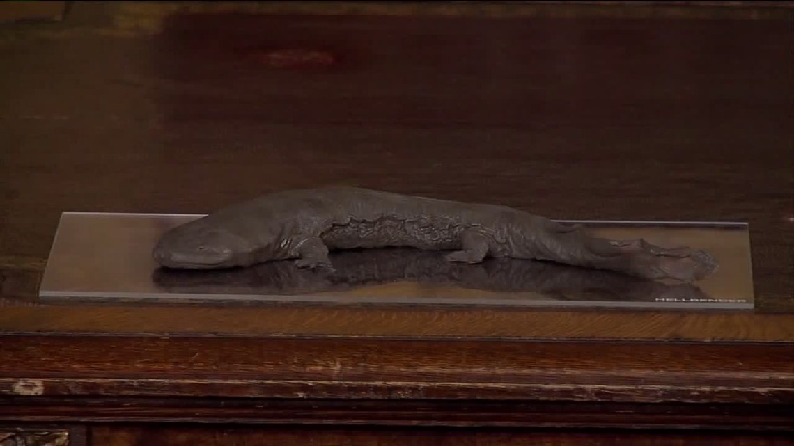 Eastern Hellbender Named State Amphibian | wnep.com