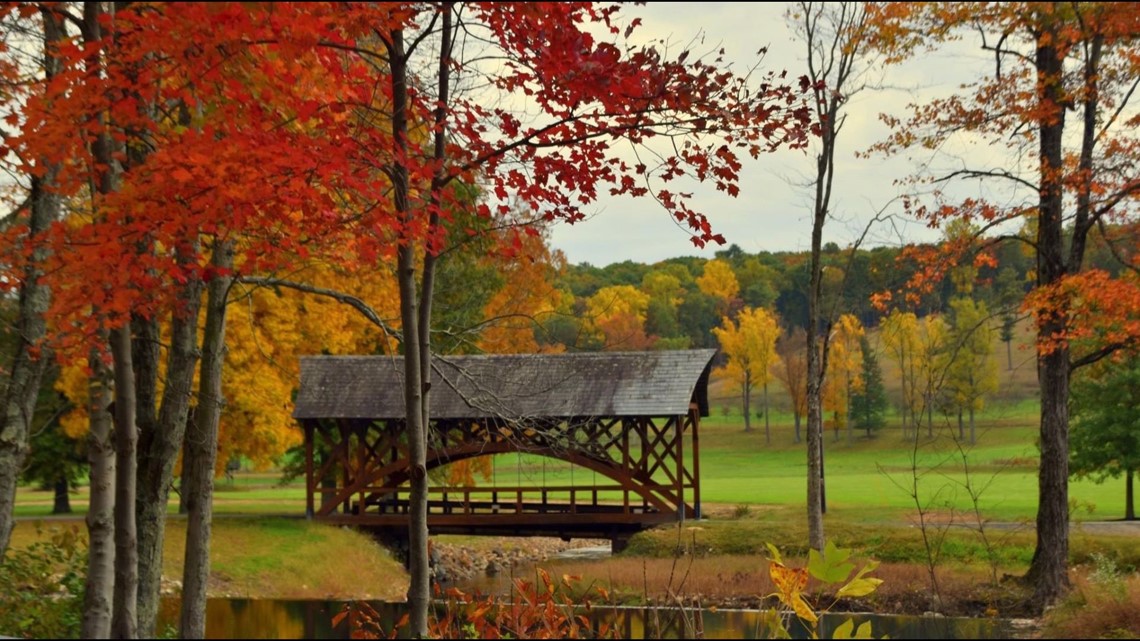 PhotoLink Library: Nature's autumn artwork | wnep.com