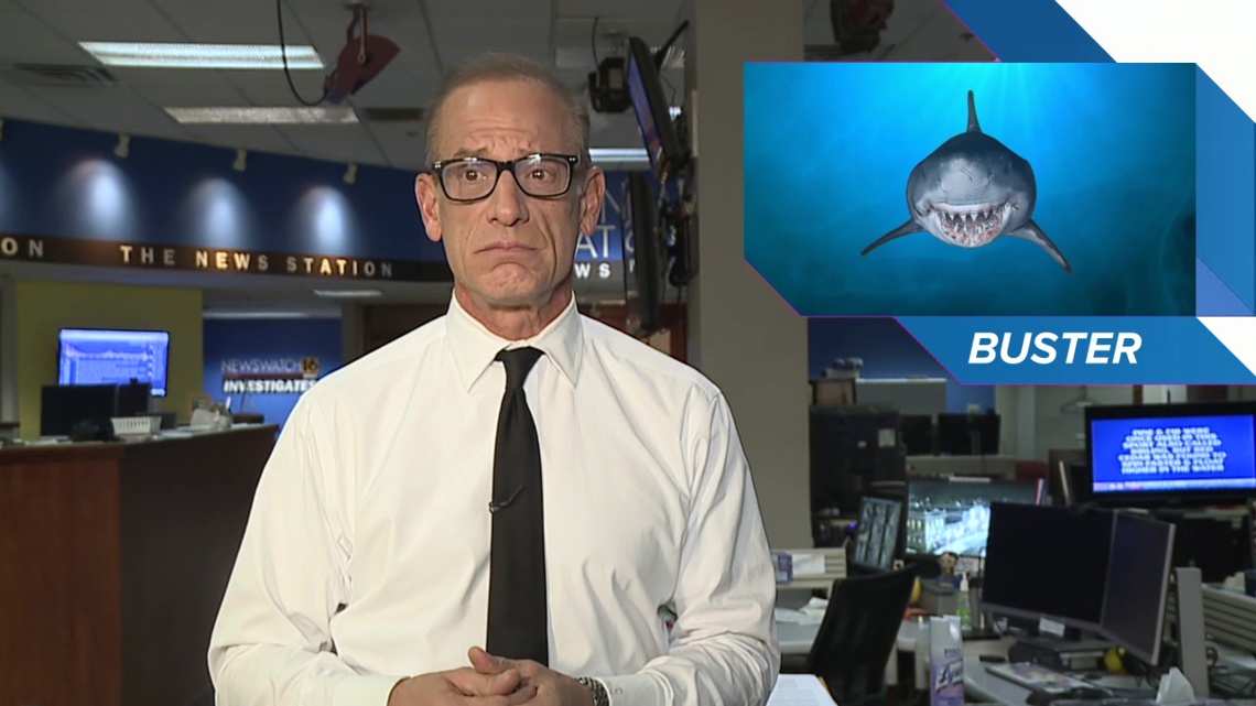 Animals take over | Talkback Feedback | wnep.com